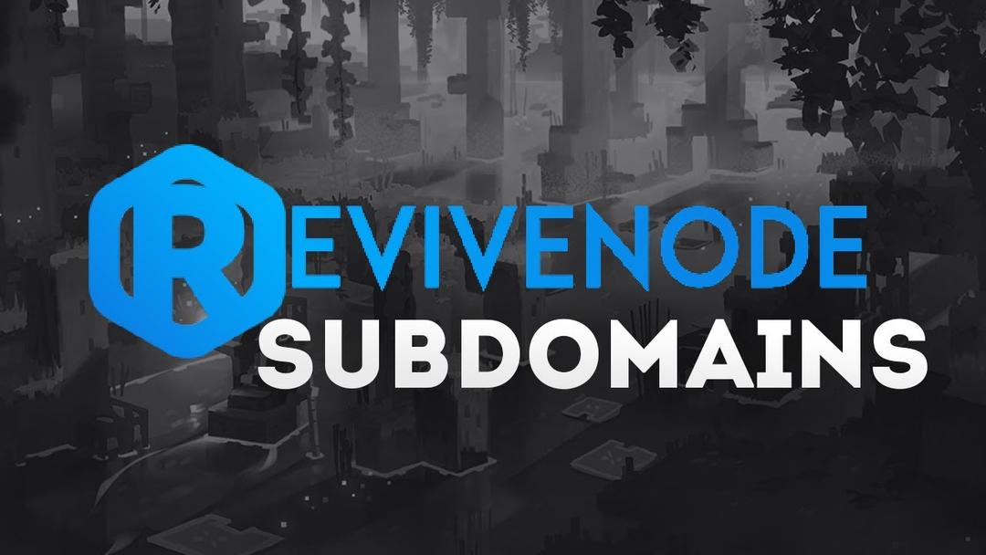 How to create a Subdomain | Revivenode