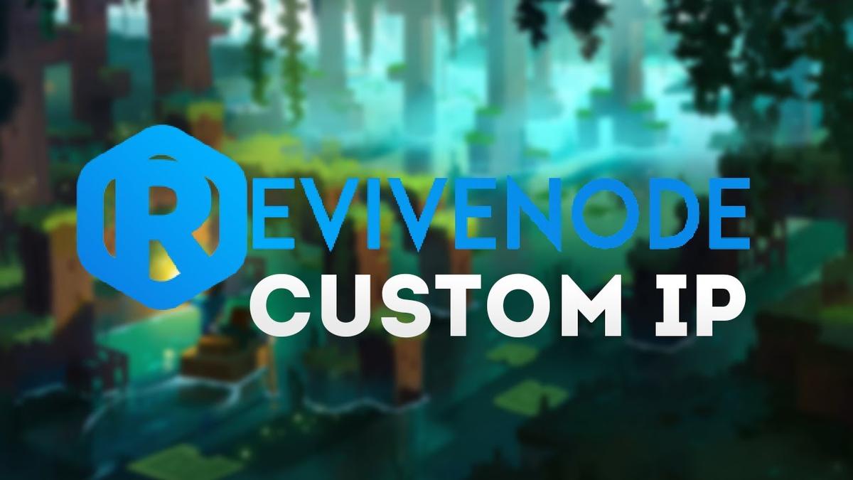 How to setup a custom IP | Revivenode